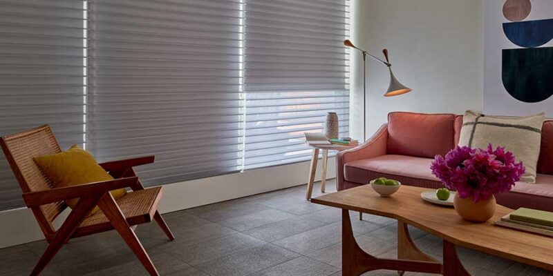 Experience the Wonder of Dual Sheer Shades | Home Inspo